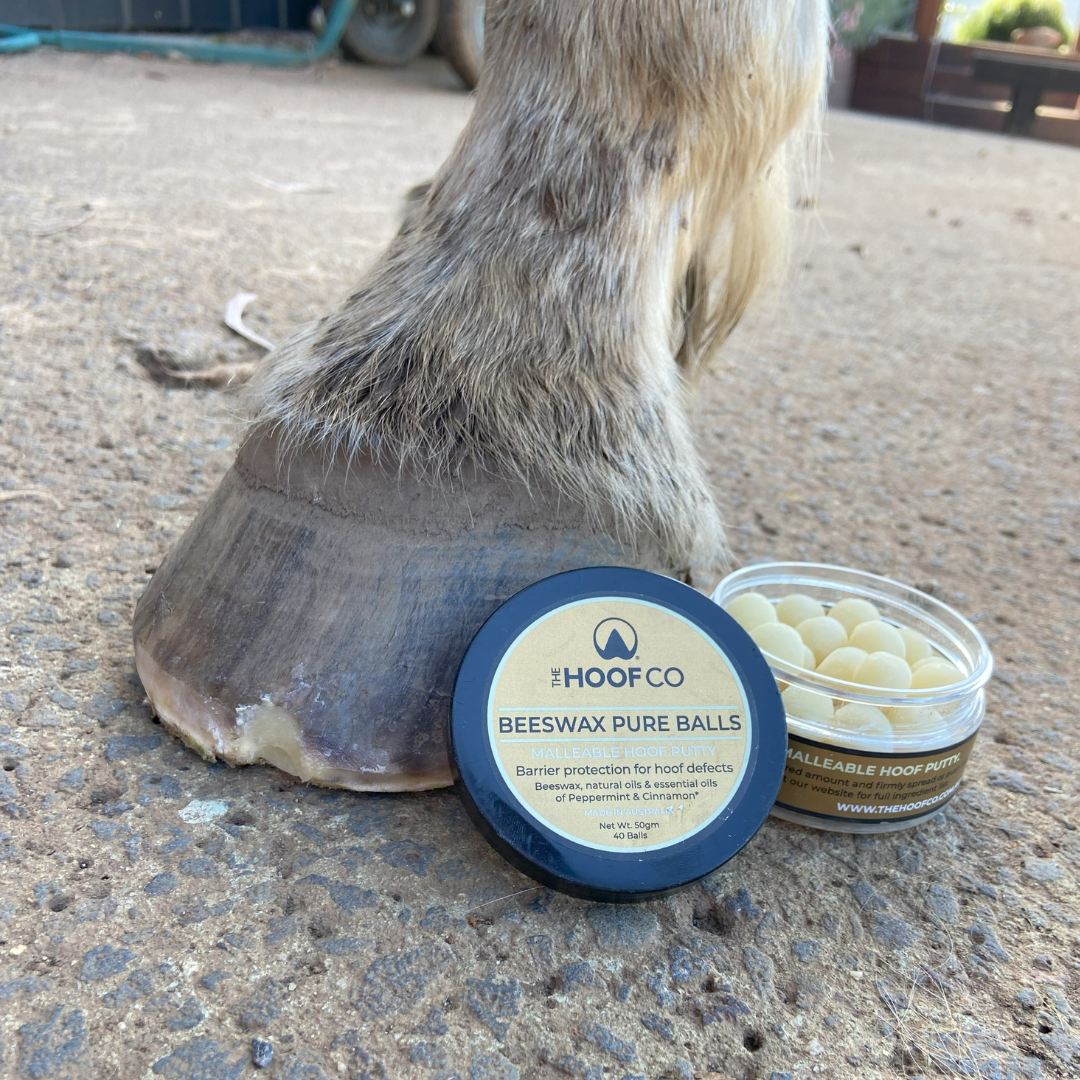 Horse Hoof Abscess Care Products – The Hoof Co