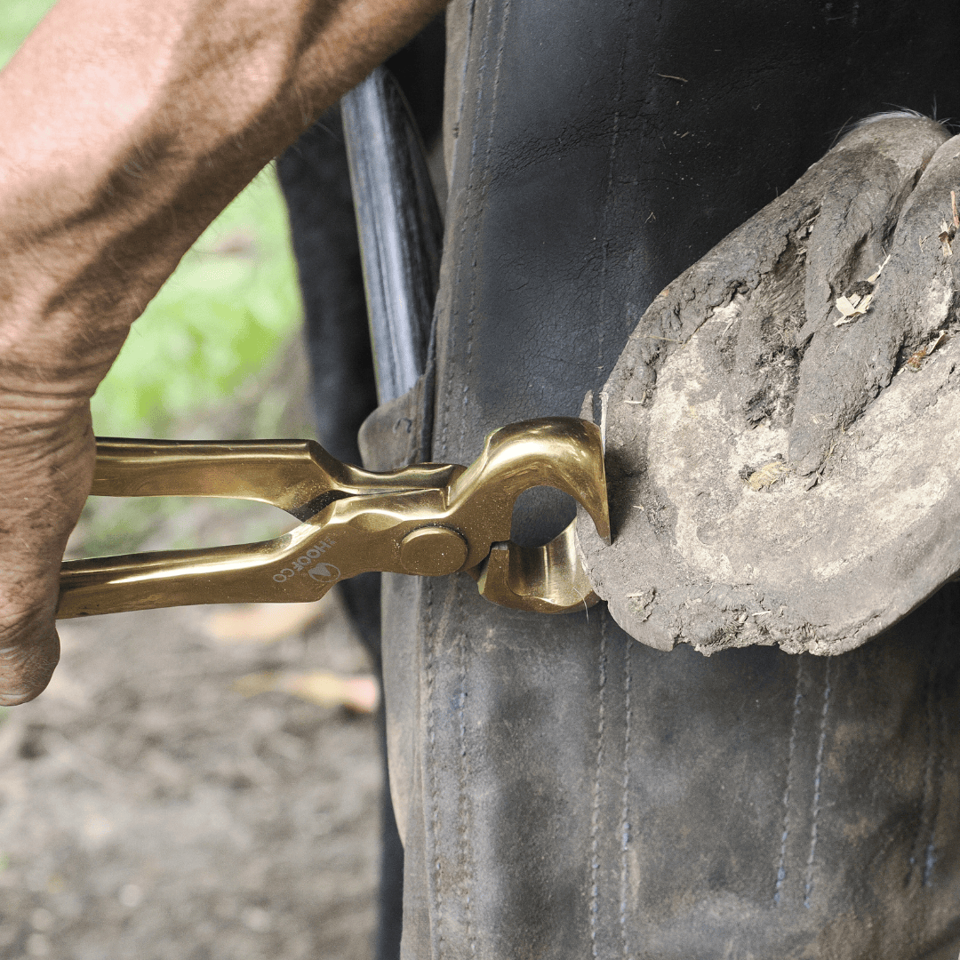 Hoof Trimming Tools for Farriers & Horse Owners | The Hoof Co