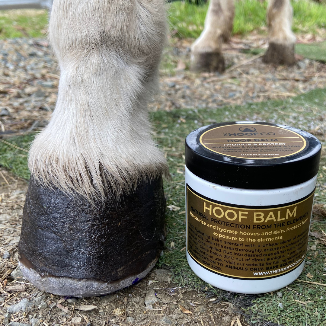 Hoof Wall Care Products for Cracks & Defects | The Hoof Co