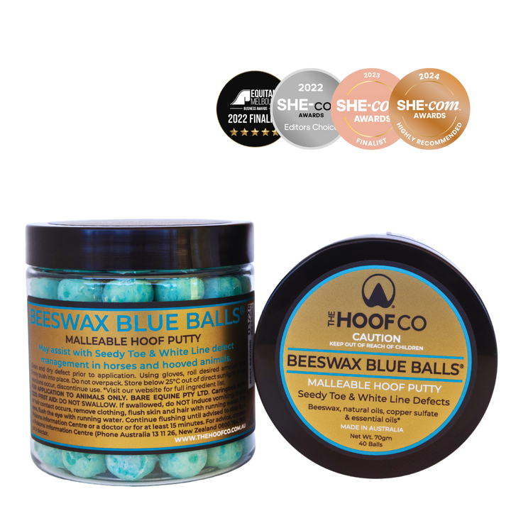 Hoof Care Solutions. Got a Hoof Problem? We've got you. – The Hoof Co