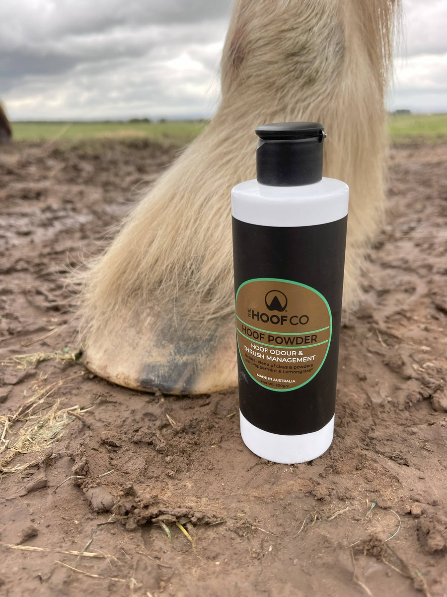 Hoof Powder – The Hoof Co
