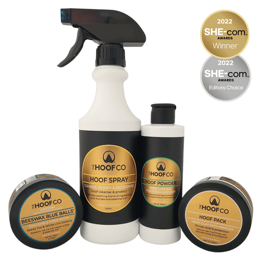 Hoof Care Solutions. Got a Hoof Problem? We've got you. – The Hoof Co