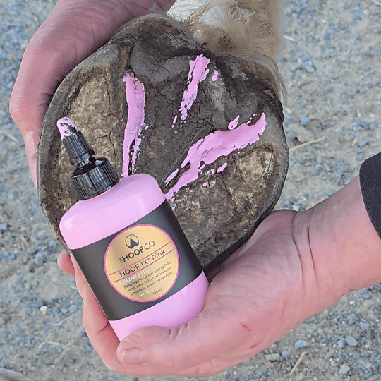 Hoof IX Pink Squeezable Hoof Liquid | The Hoof Co