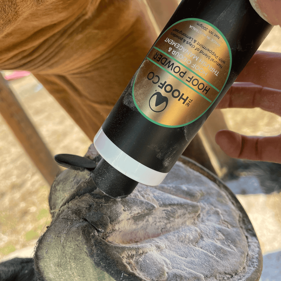 Hoof Powder – The Hoof Co