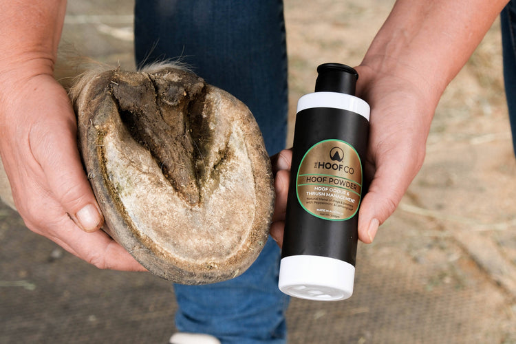 Hoof Powder Anti-Odourant with Peppermint and Lemongrass | The Hoof Co