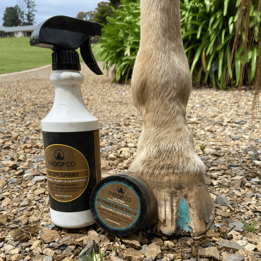 Hoof Spray - 500ml with Kunzea Oil – The Hoof Co