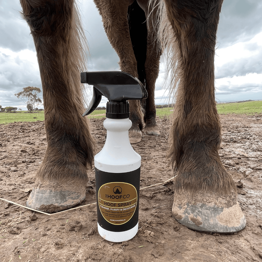 Hoof Spray - 500ml with Kunzea Oil – The Hoof Co