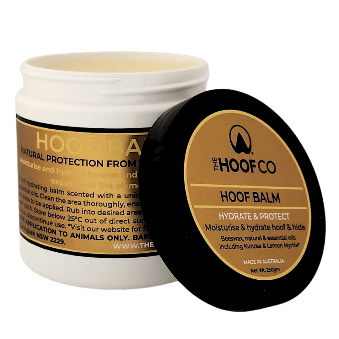 Hoof Balm- Lube those hooves – The Hoof Co