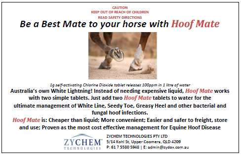 Hoof Mate️® - pack of 30 soaking tablets – The Hoof Co